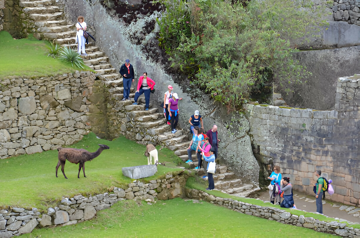Ascending Ancient Steps: Exploring Machu Picchu's Stairways with Peruways - Peruways