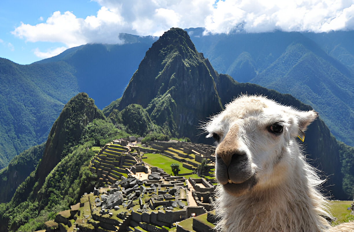 The Enigmatic Face of Machu Picchu: Nature’s Stunning Masterpiece ...